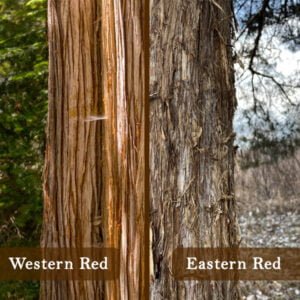 East Meets West: Western Red Cedar vs Eastern Red Cedar