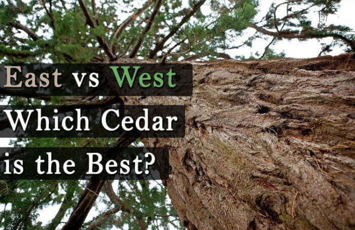 East Meets West: Western Red Cedar vs Eastern Red Cedar - Cedar Sense ...