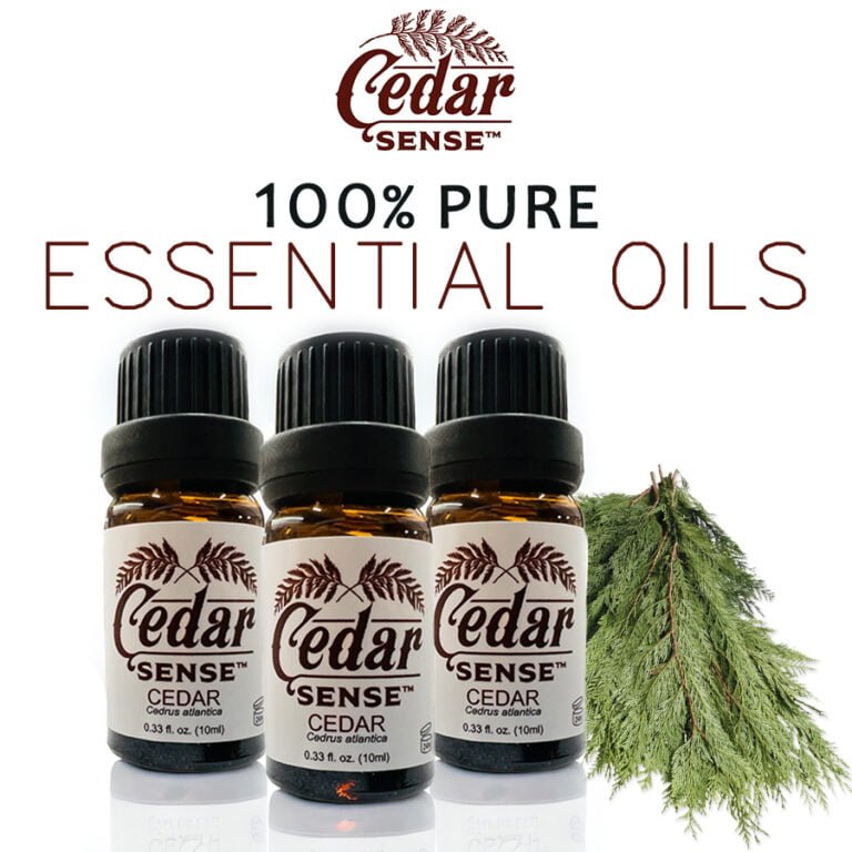 A Handyman's Guide to Cedar Essential Oil: DIY Extraction