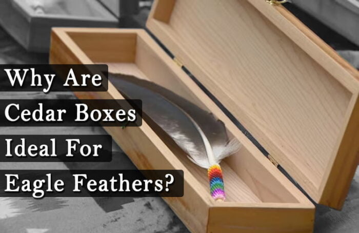 Lifestyle Blogs | #1 Cedar Info | Cedar Sense Articles For Your Soul