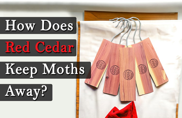Best #1 Cedar Rings, Balls & Cedar Wood Products | Cedar Sense