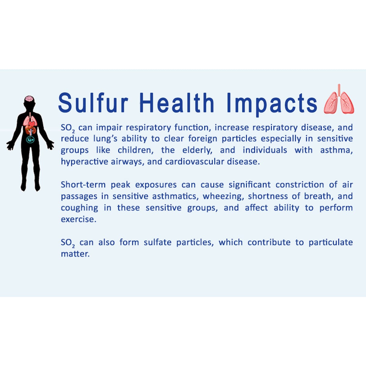 How to Use a Sauna w/Rocks for Optimal Steam | Why Rocks?